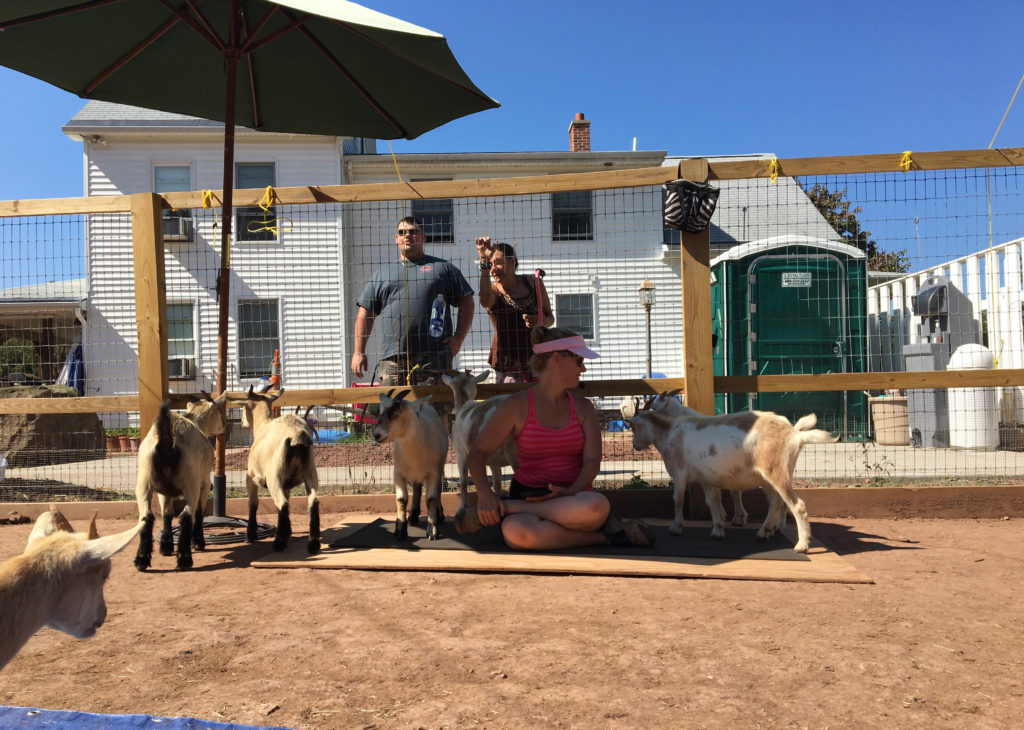 TN IRL Naaaaamaste: Goat Yoga - That's Normal